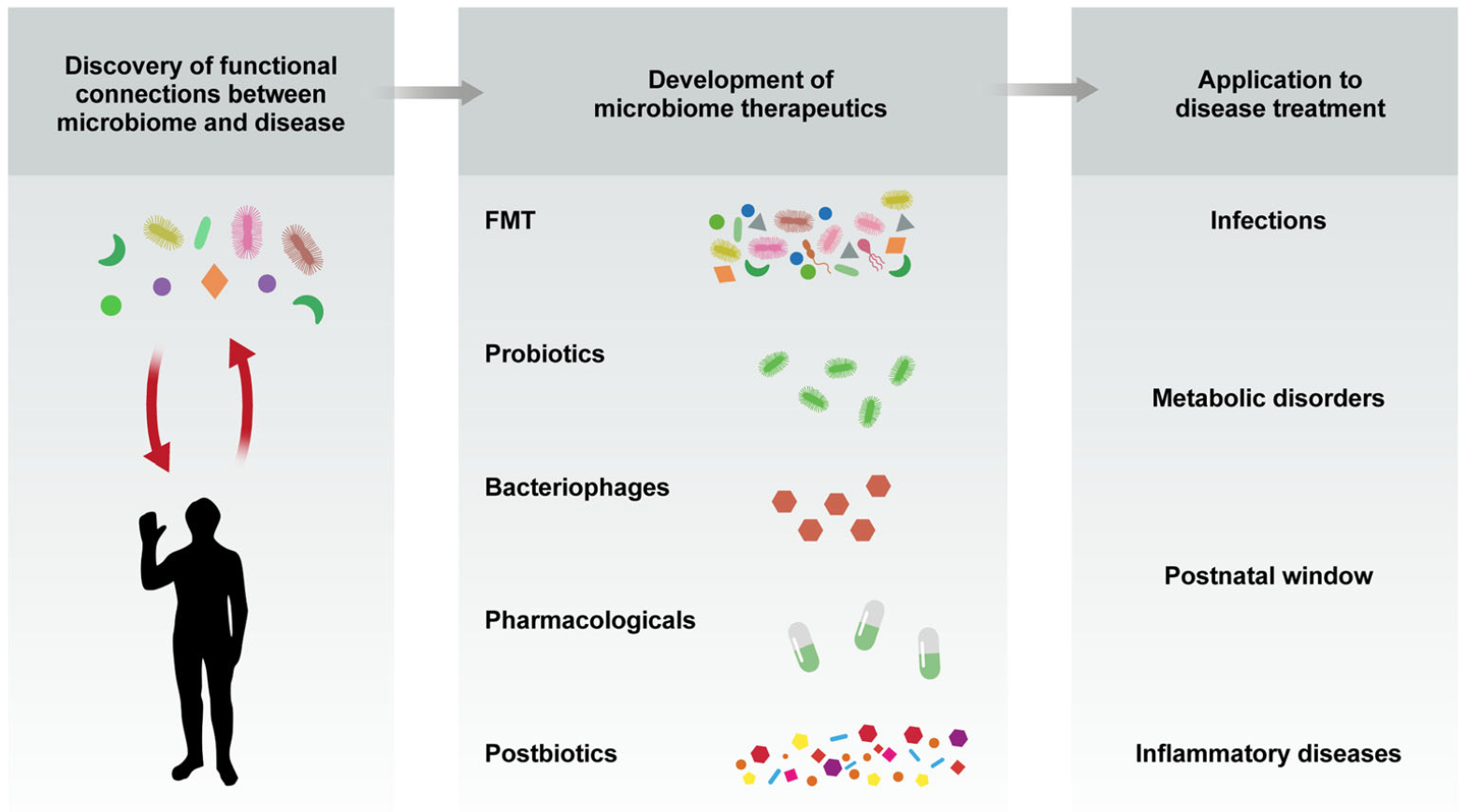 Publications – Thaiss Lab
