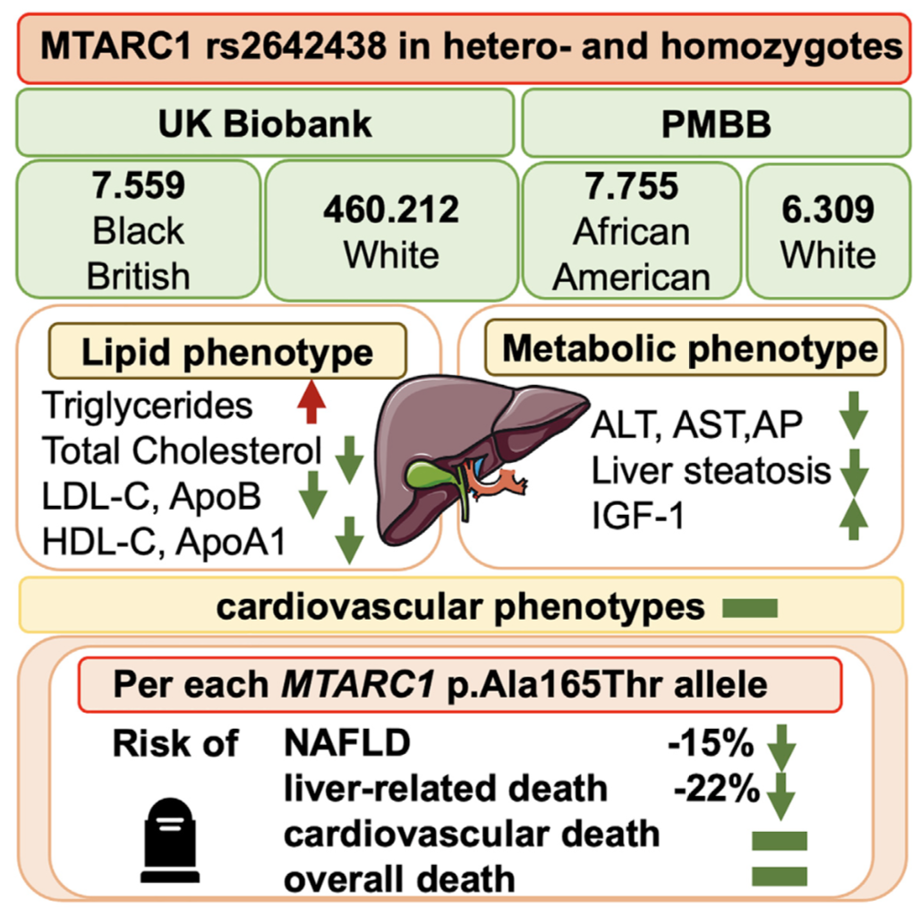Alternative cross-priming through CCL17-CCR4- mediated attraction of ...